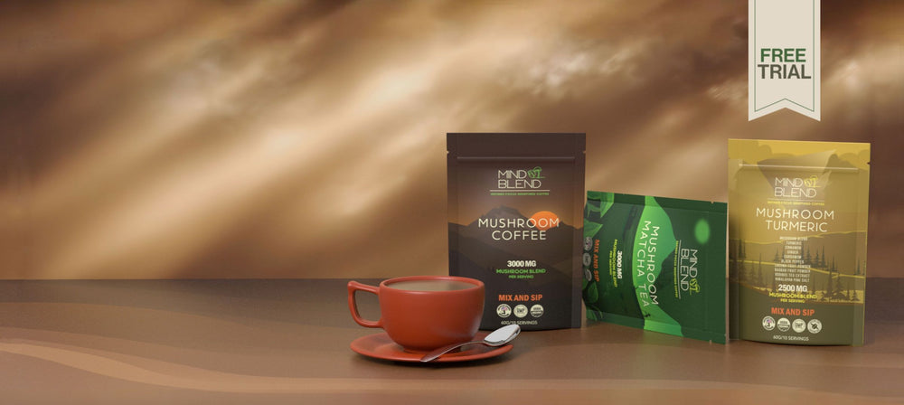 Premium Mushroom Blends | Functional & Nootropic Blends – Mindblend.shop